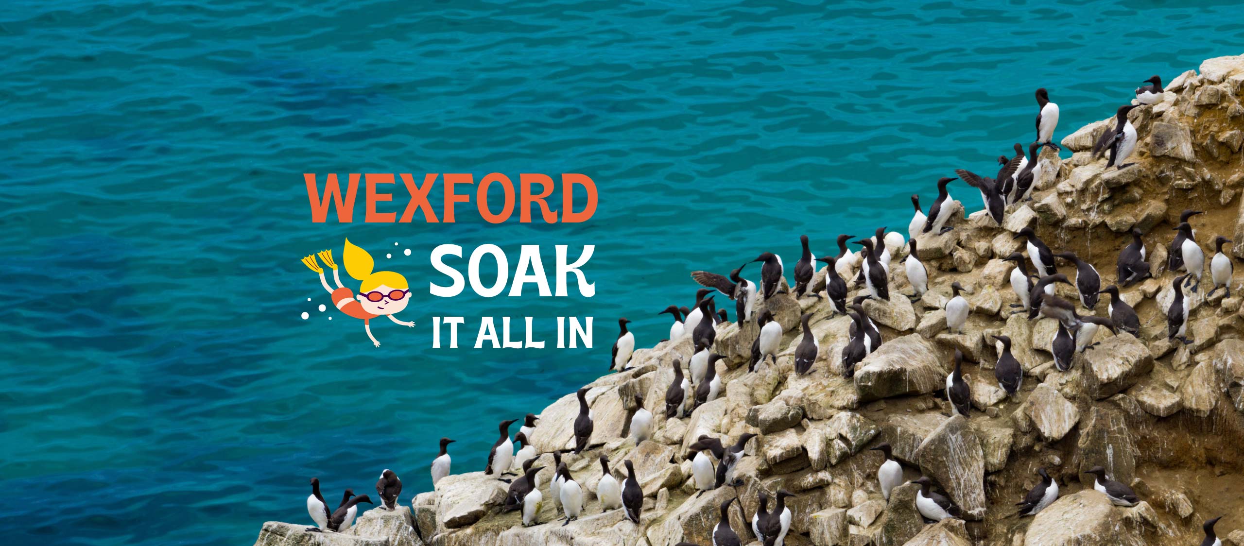 Wexford Things to Do | Places to Visit in Wexford | Visit Wexford