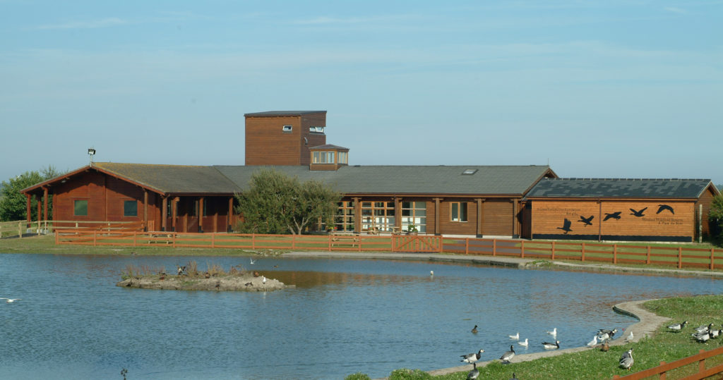 Nature Reserves, Petting Farm, Wildlife - Visit Wexford