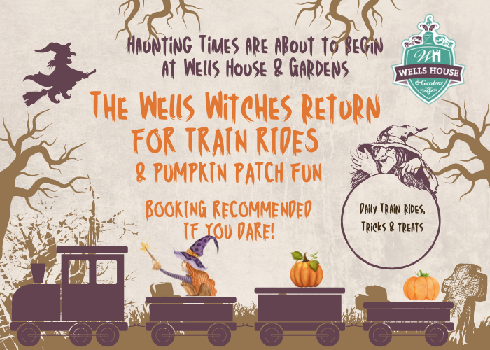 Halloween Activities Wexford, Spooky things to do | Visit Wexford