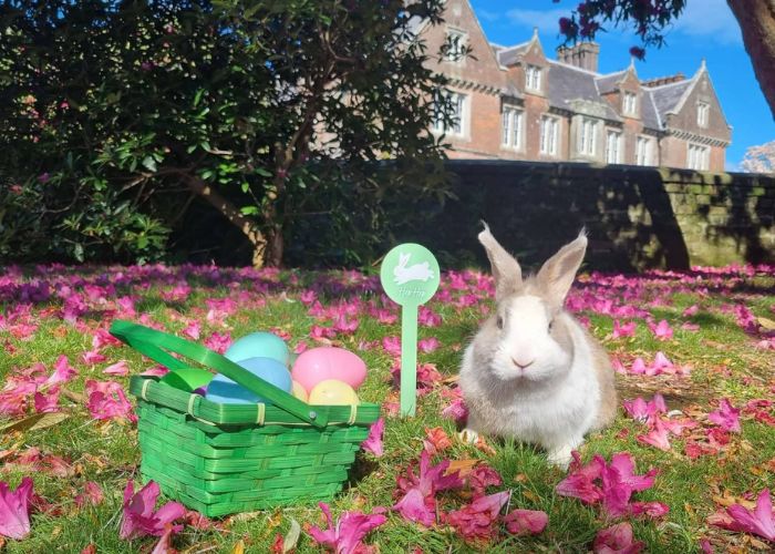 Easter Breaks in Wexford | Visit Wexford