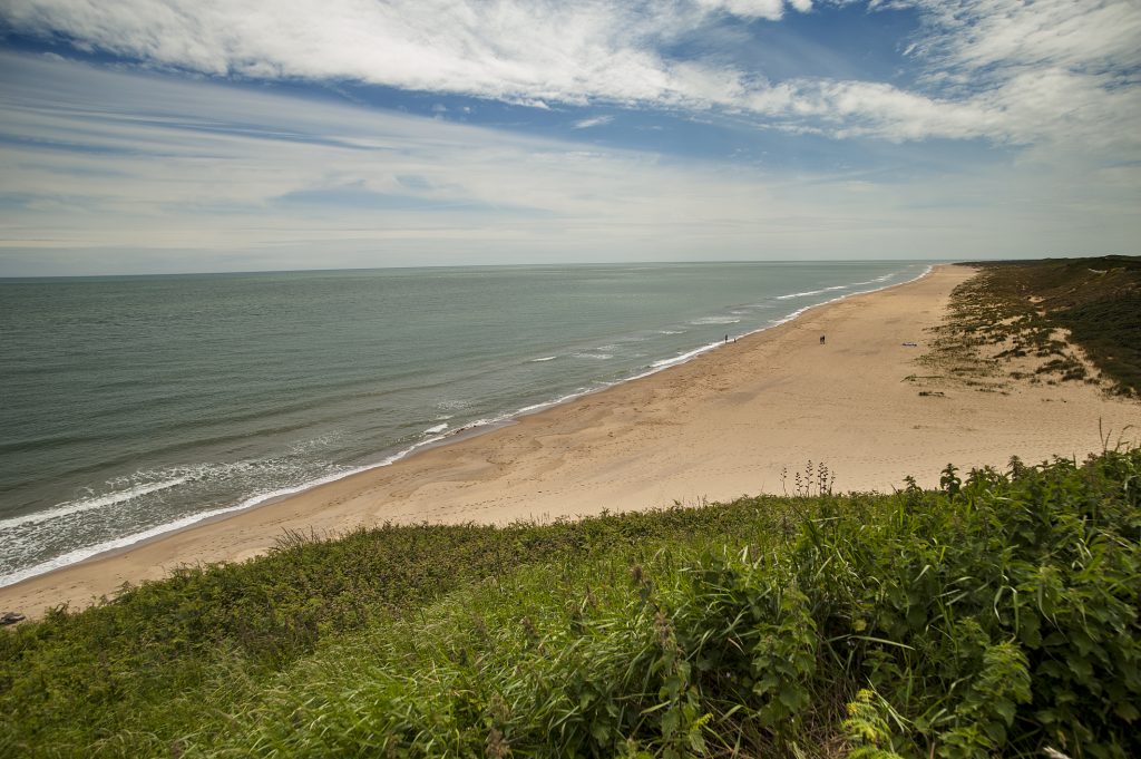 Cahore Cliff Walk, Cahore Point Walk | Visit Wexford