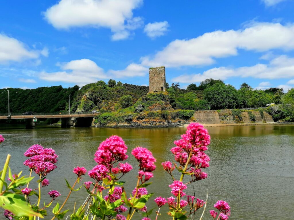 Three Rocks Walking Trail Walking Trail - Visit Wexford