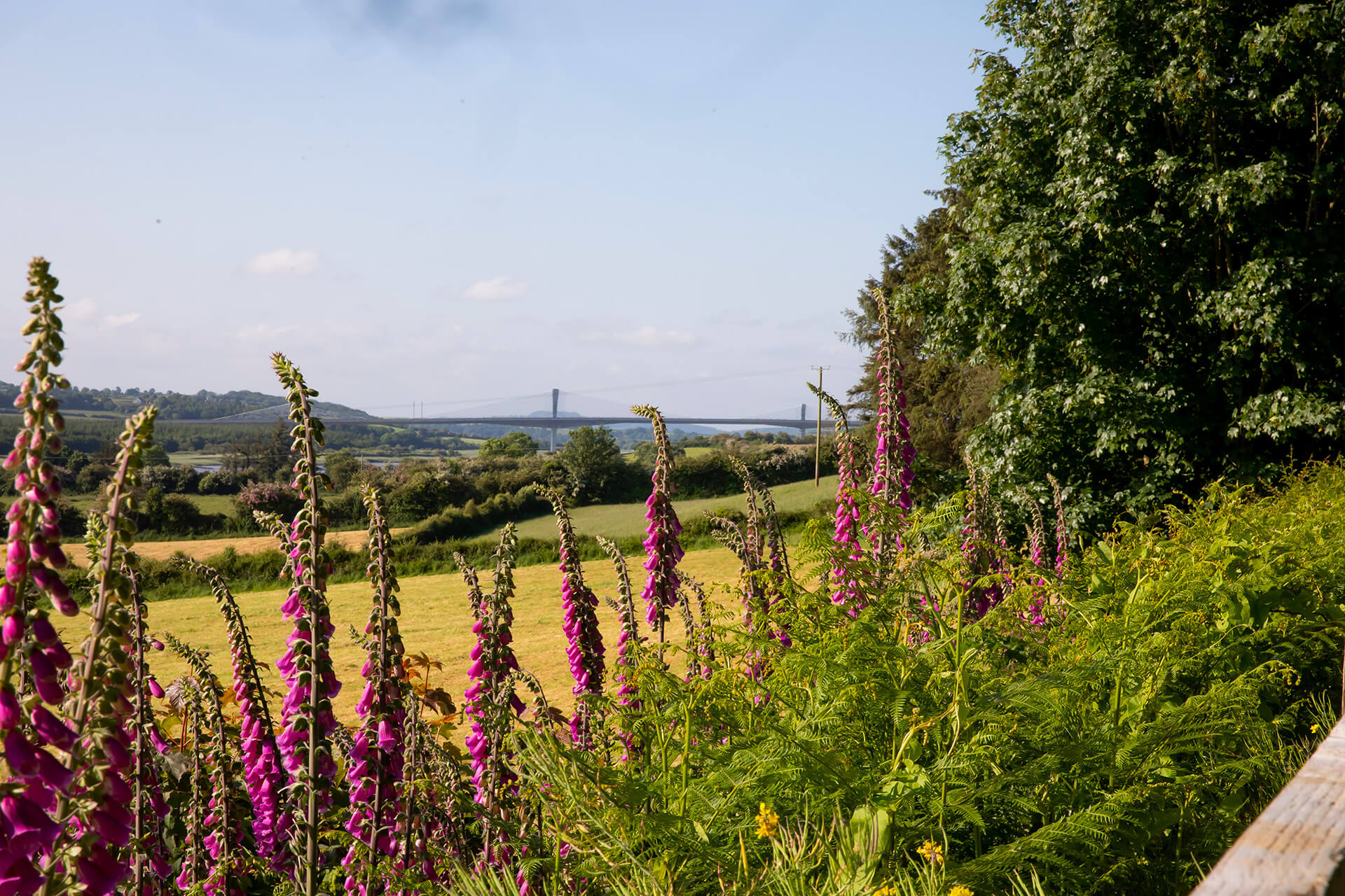 South East Greenway - Visit Wexford