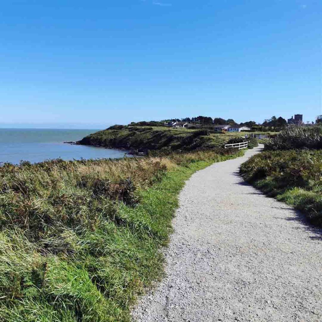 Kickstart 2025 with a Walking Adventure in Wexford - Visit Wexford