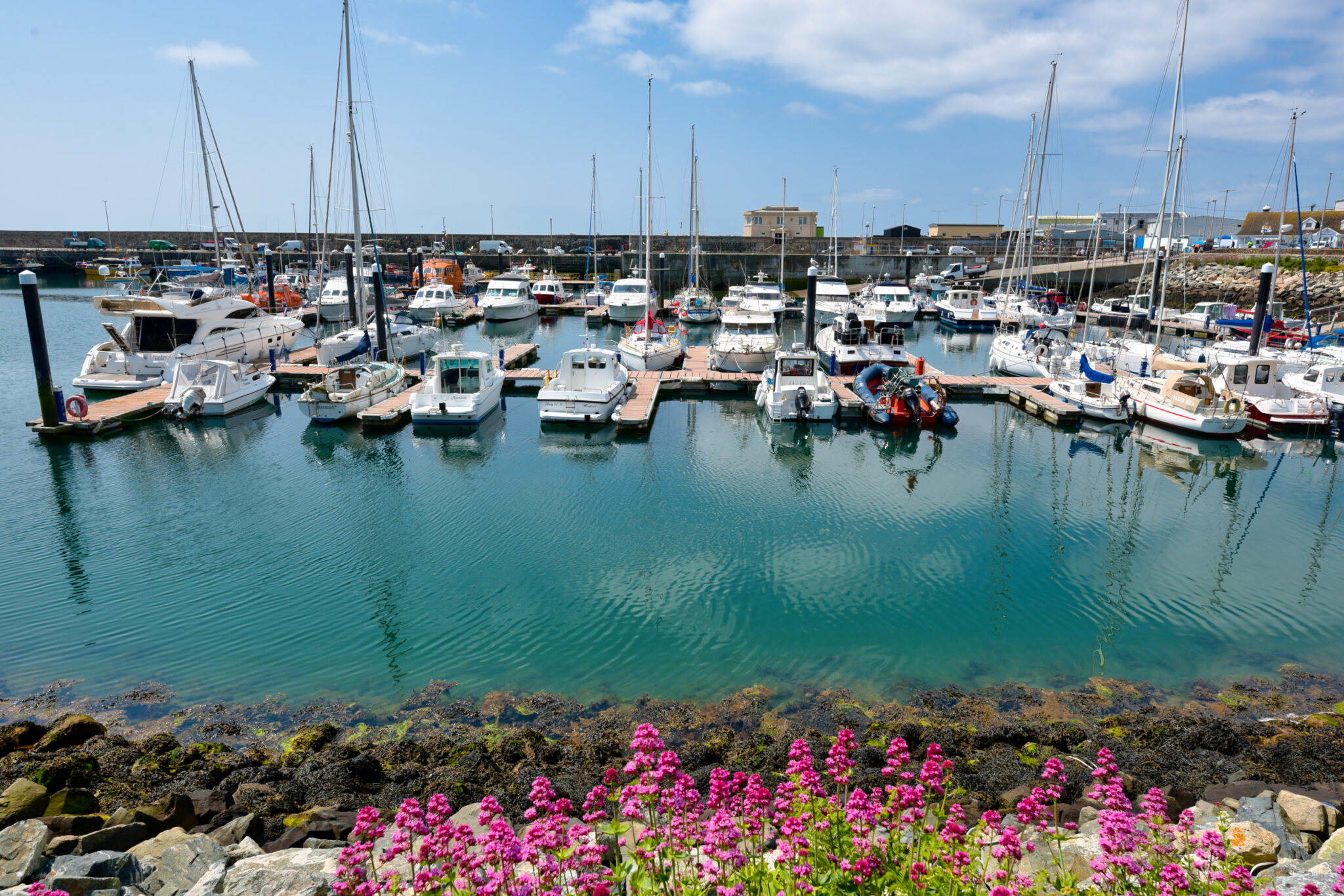 A Family Friendly Weekend in Wexford: Puffins, Coastal Charm and Hidden ...